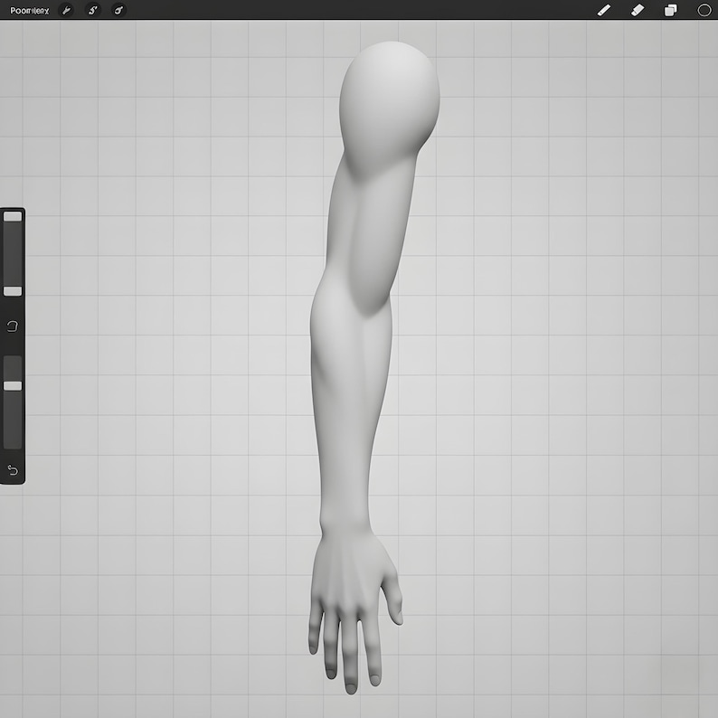 Procreate Female 3D Models Bundle – Full Body, Arm, Leg, Torso – USDZ ...