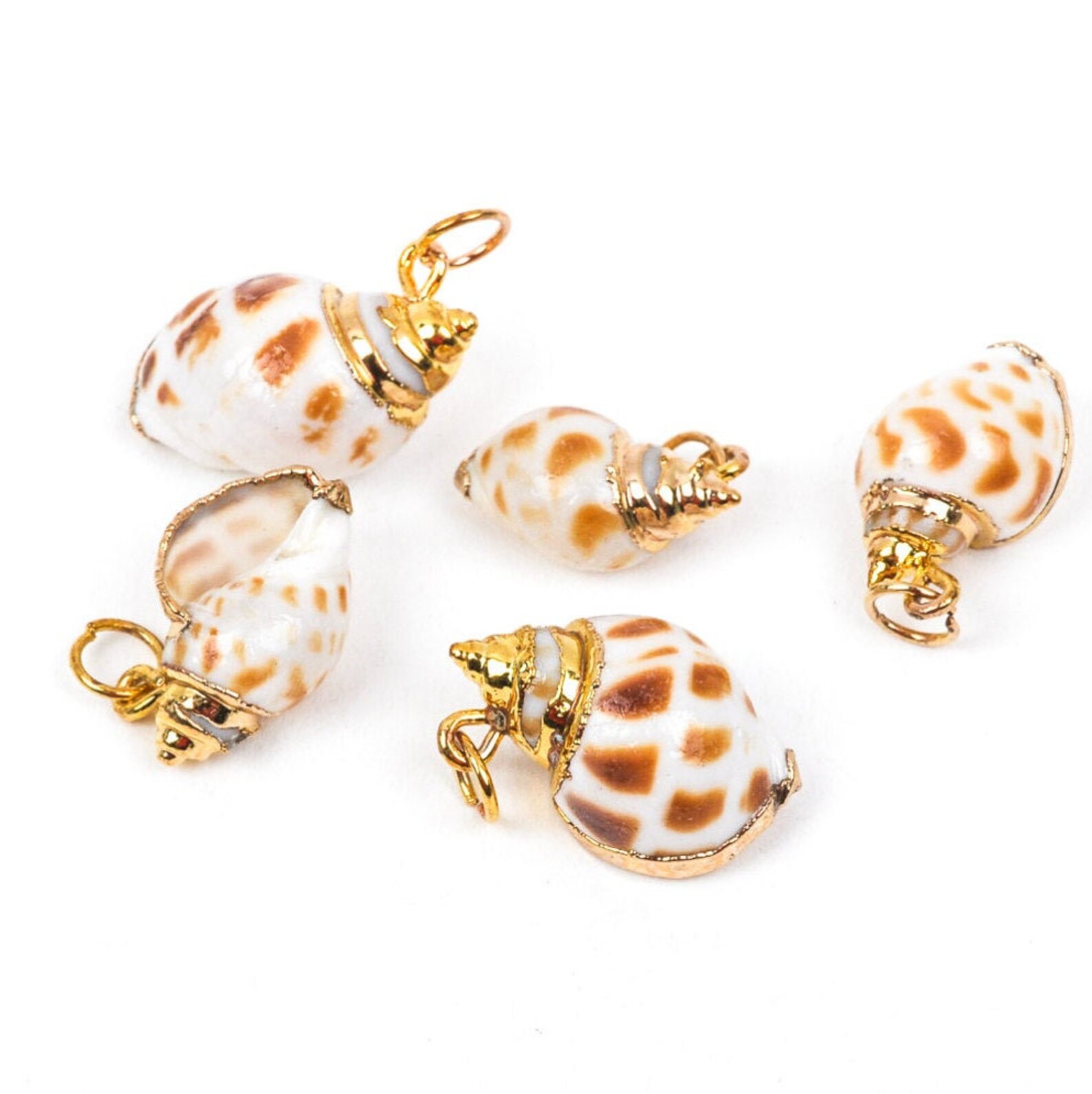 2 Natural Sea Shell Charms With Gold Plating and Gold Bail | Etsy