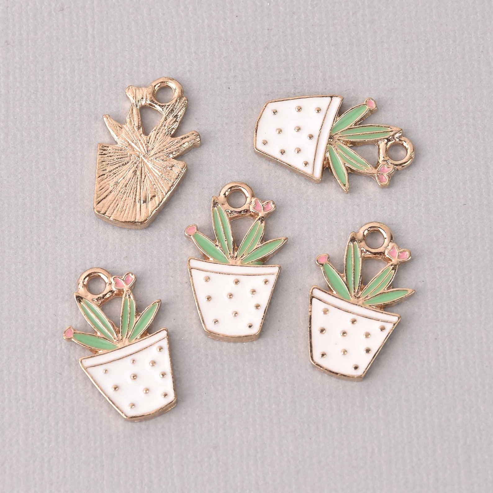 5 SUCCULENT CACTUS Charms Enamel Floral Charms Potted Plant - Etsy