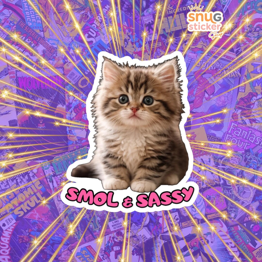 Smol & Sassy Kitten Kiss-cut Stickers | Cute Cat Laptop Decal - Etsy