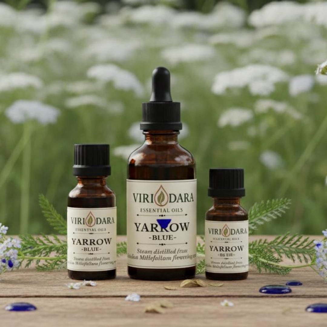 Organic Blue Yarrow Essential Oil – Steam Distilled - Etsy