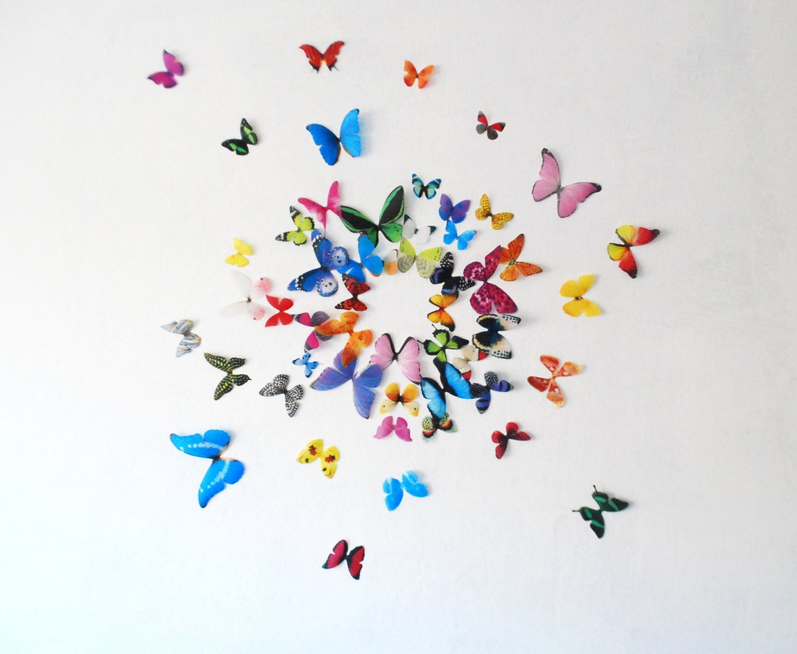 3D Realistic Wall Butterflies- Set of 50 Various Sizes and Colors - Etsy
