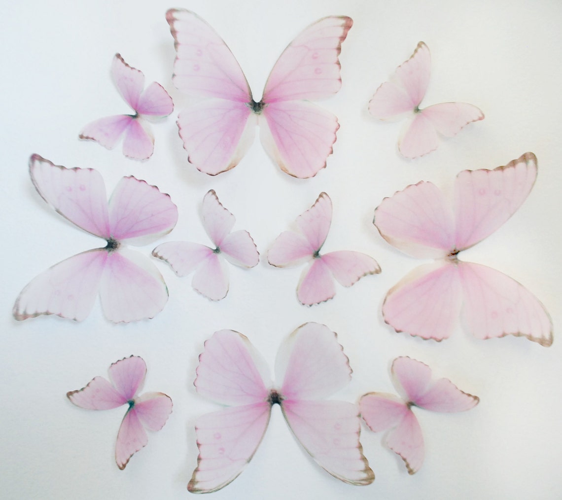 3D Wall Butterflies- Light Princess Pink - Etsy