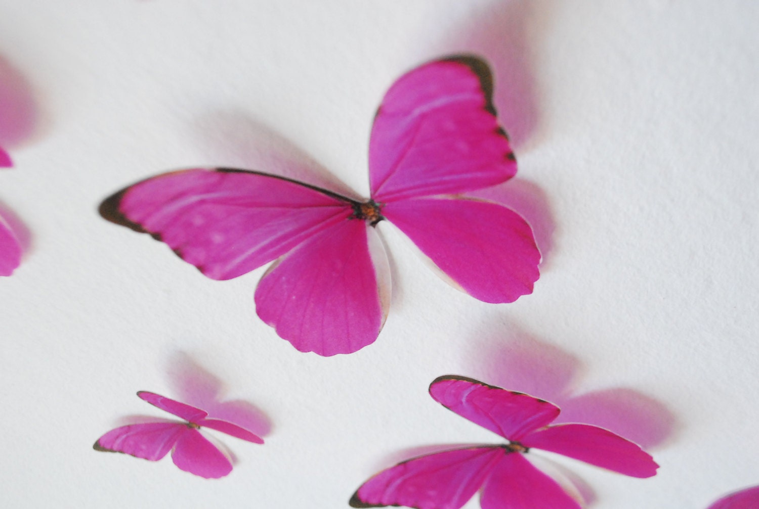 3D Hot Pink Morphos Set of 10 - Etsy
