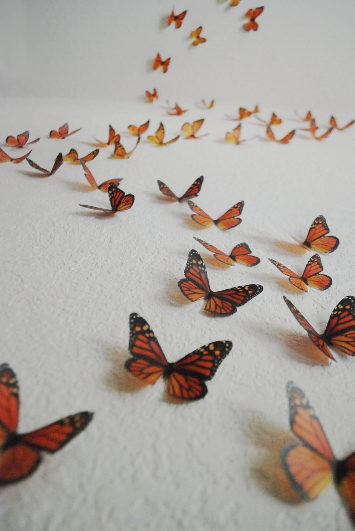 3D Wall Monarchs- Set of 50 - Etsy