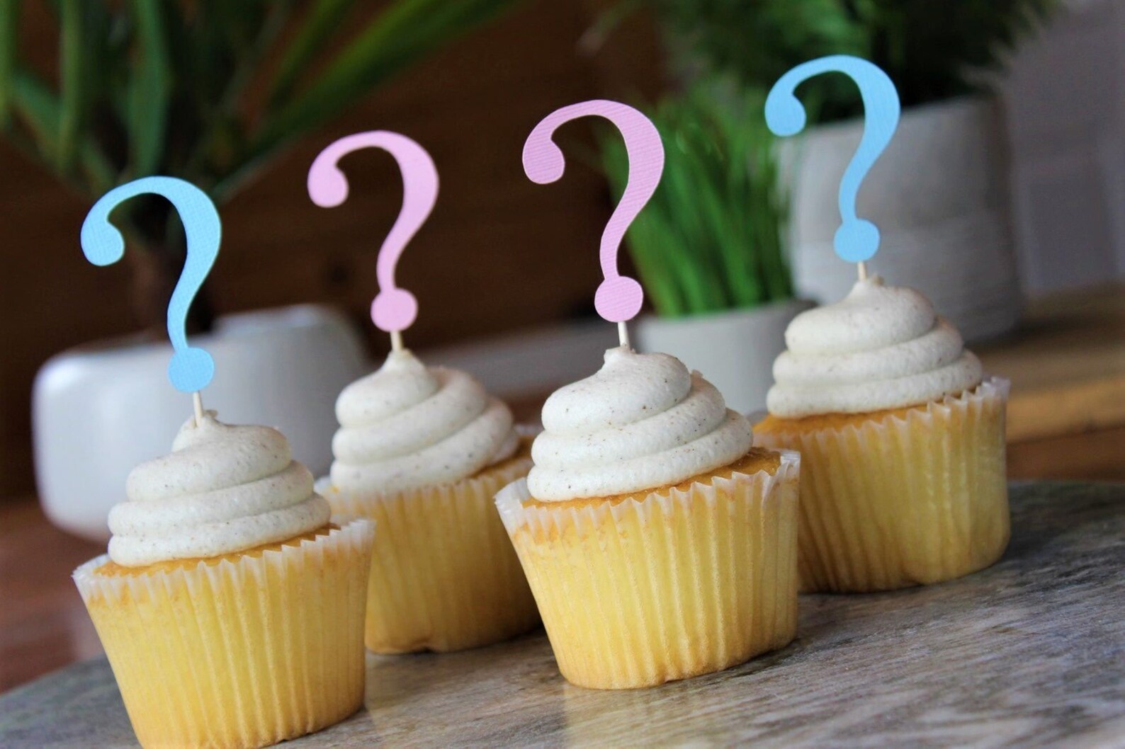 What Will It Be Question Mark Gender Reveal Cupcake Toppers - Etsy