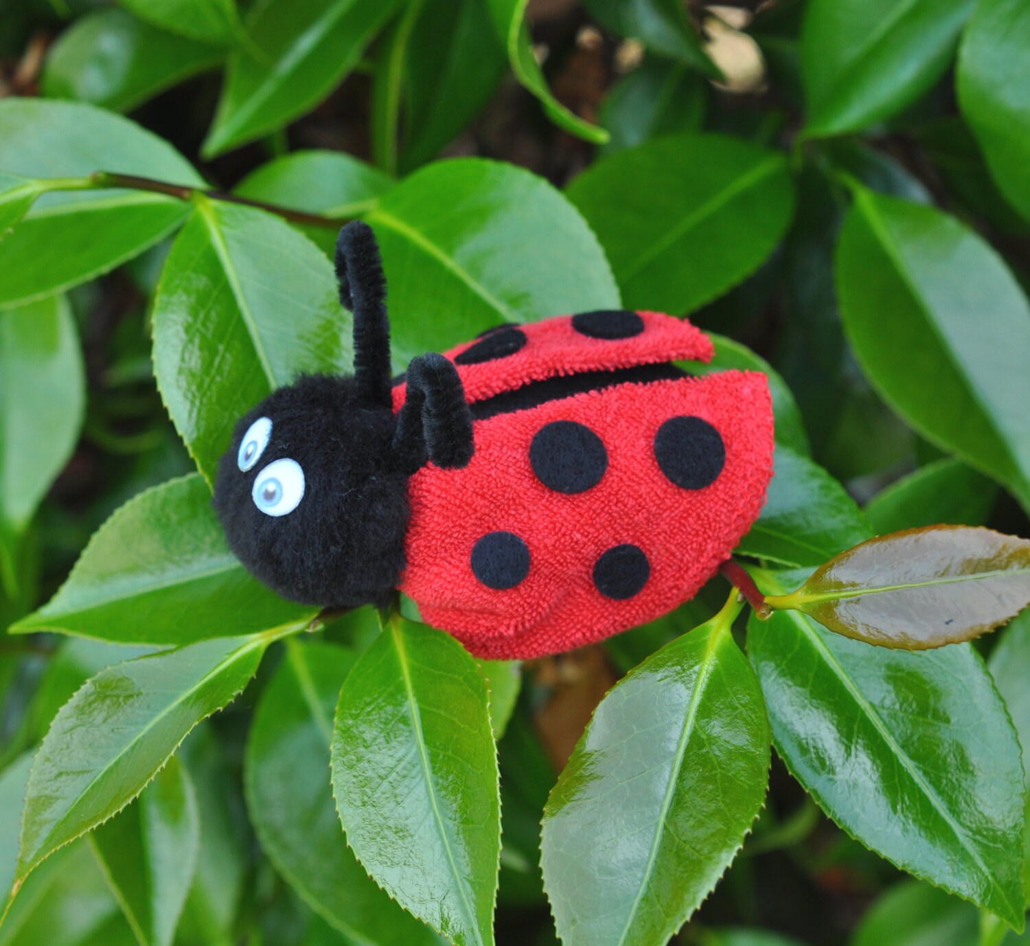 Baby Washcloth Ladybug, Washcloth Ladybird, Washcloth Beetle, Washagami ...