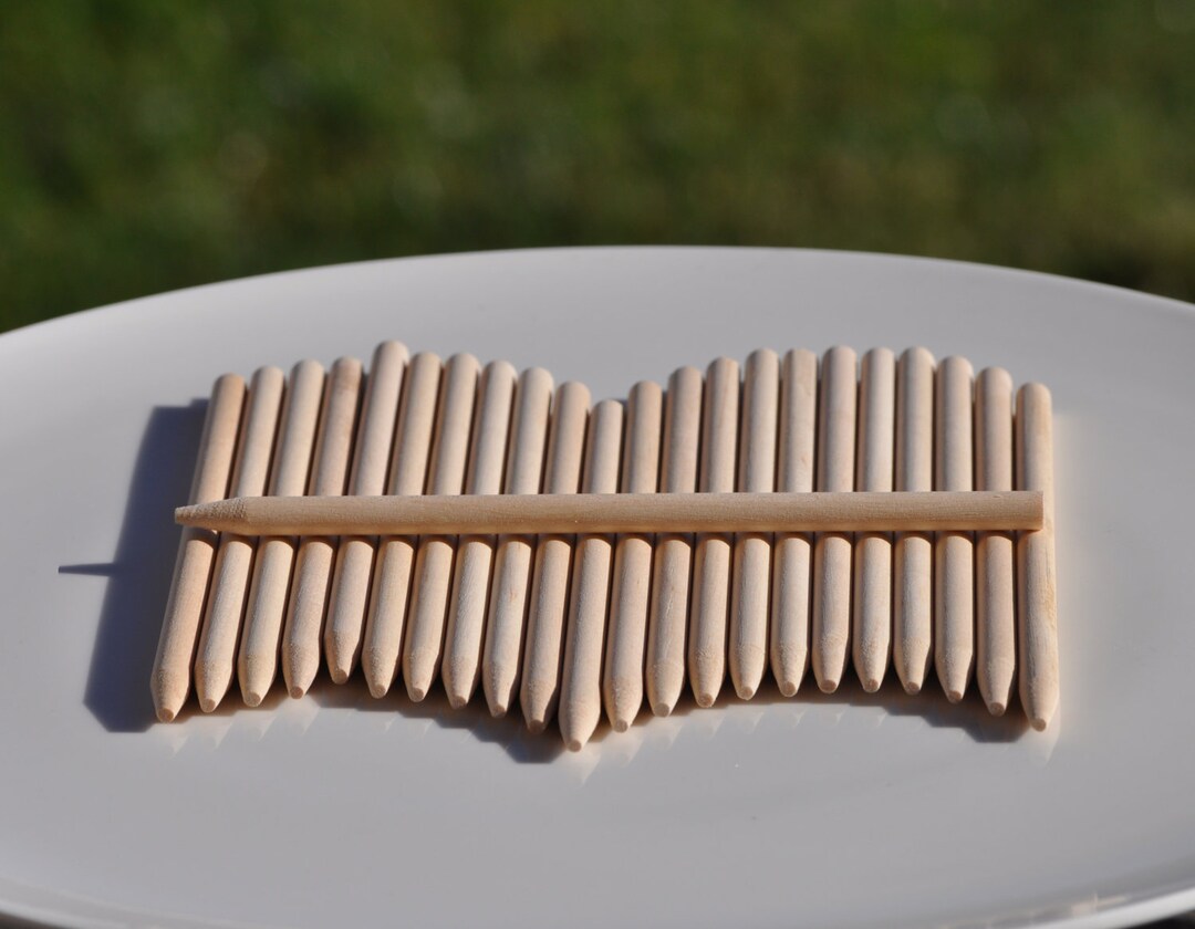Candy Apple Sticks, Carmel Apple - 25 Count (sale) - Etsy