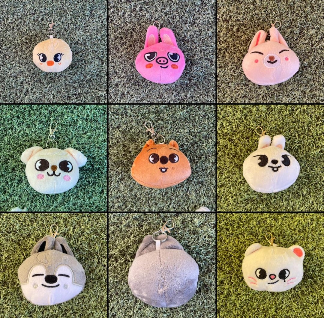 Stray Kids Skzoo Plushy Bag Charm Bagcharm Plush Key Chain | Kpop ...