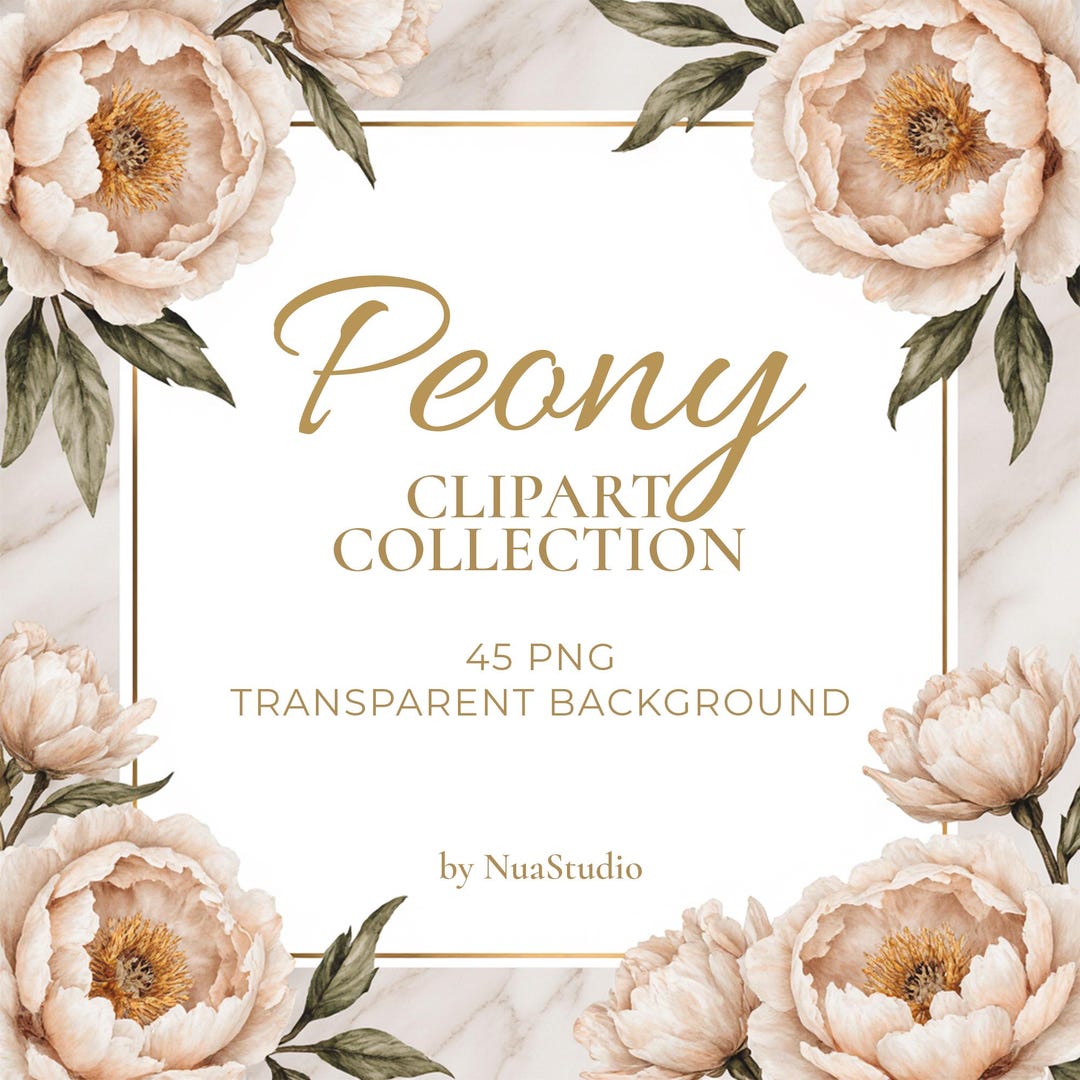 Peony Clipart PNG Set, Wedding Floral , Corner Flowers, Neutral Peony ...