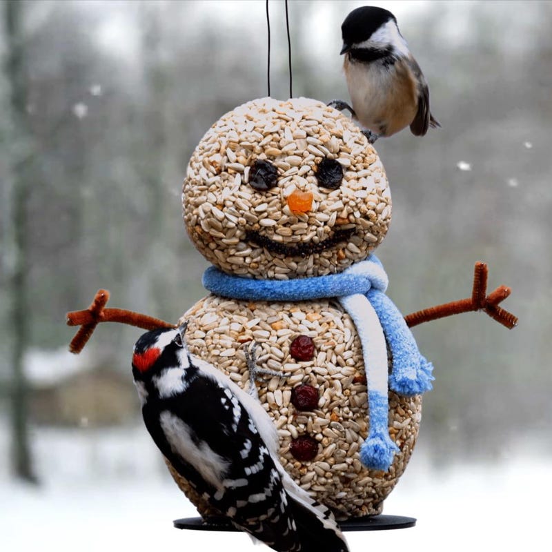 Bird Lover Garden Gifts - 60+ Gift Ideas for 2026