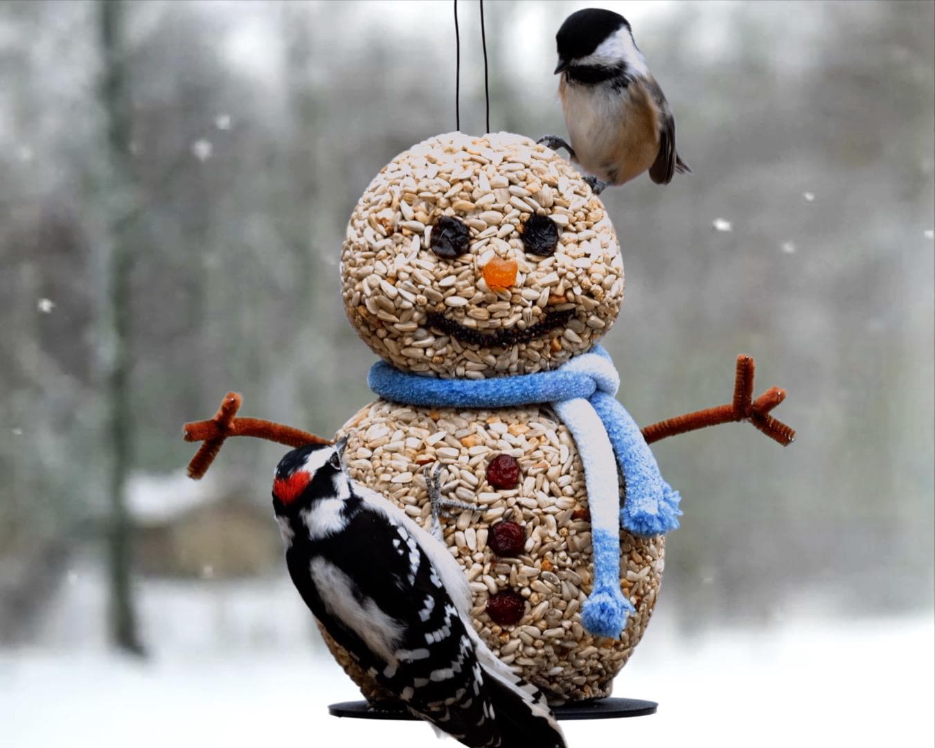 Handmade Snowman – Unique Christmas Bird Feeder Gift for Backyard ...
