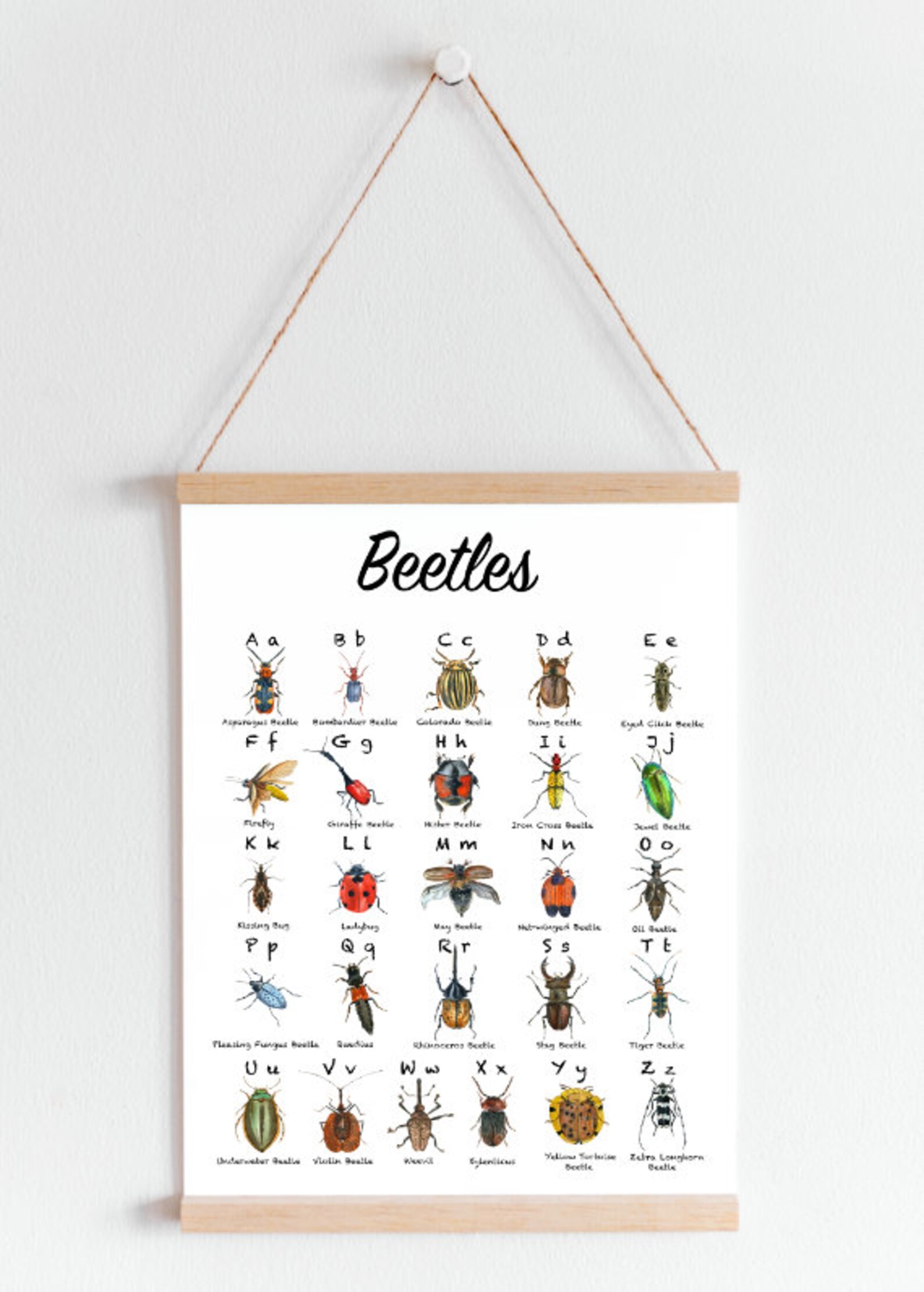 ABC Alphabet Watercolor A-Z Beetles Poster PRINTABLE Art Bugs - Etsy