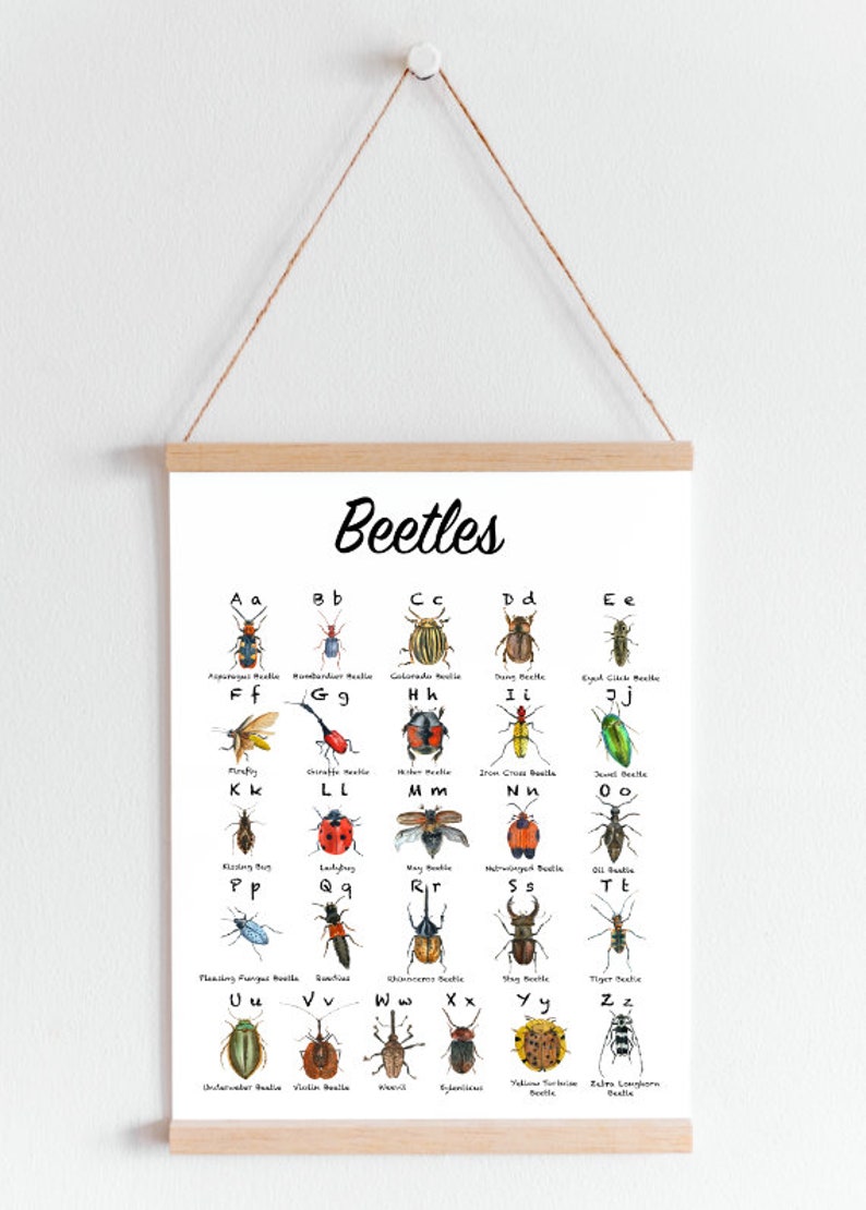 ABC Alphabet Watercolor A-Z Beetles Poster, PRINTABLE Art Bugs Print ...
