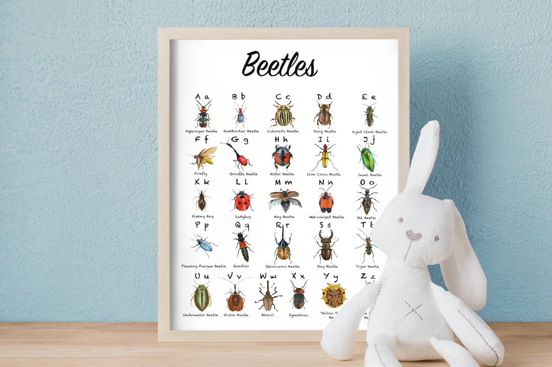 ABC Alphabet Watercolor A-Z Beetles Poster, PRINTABLE Art Bugs Print ...