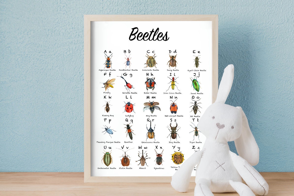 ABC Alphabet Watercolor A-Z Beetles Poster, PRINTABLE Art Bugs Print ...