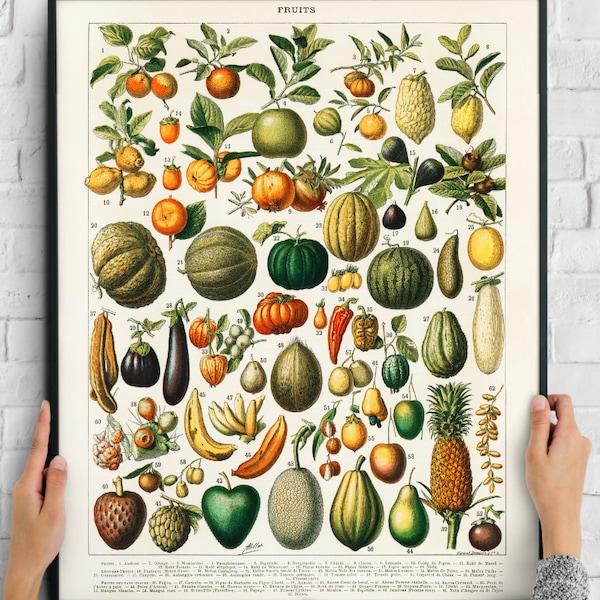 Vintage Poster Fruit - Etsy
