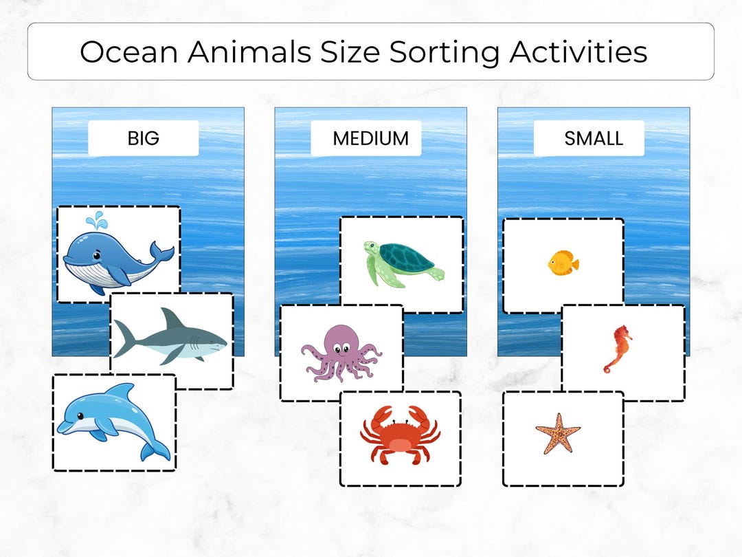 Ocean Animals Size Sorting, Big Medium Small Cards, Preschool Activity ...