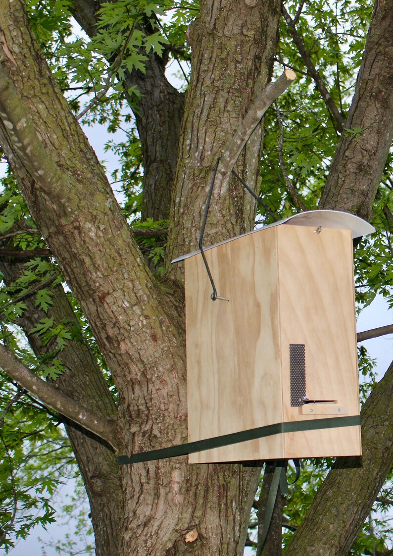 Premium Swarm Trap for Honey Bees - Etsy Canada