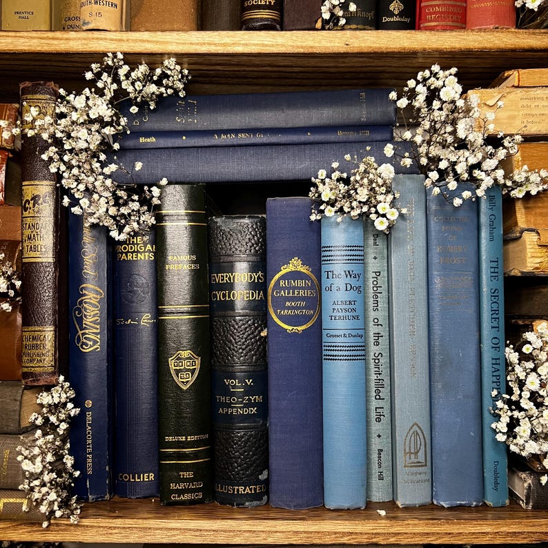 Custom Vintage Book Sets | Personalized Color Bundles | Dark Academia ...