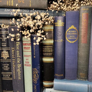 Vintage Books | Shades of BLUE | Hardcover | Office Decor, Shelf ...