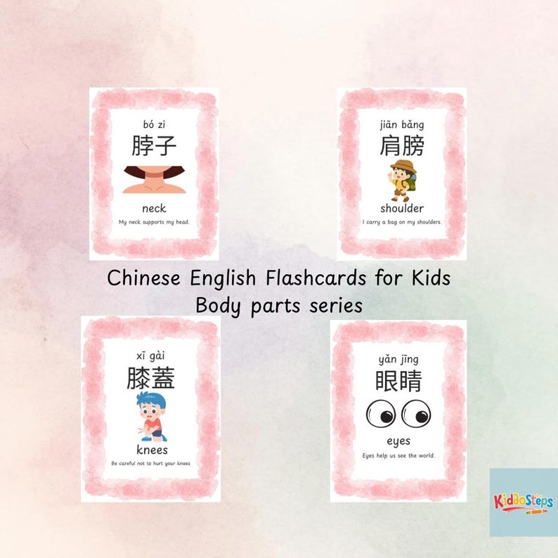 Chinese English Body Parts Flashcards | Bilingual Learning (PDF) - Etsy