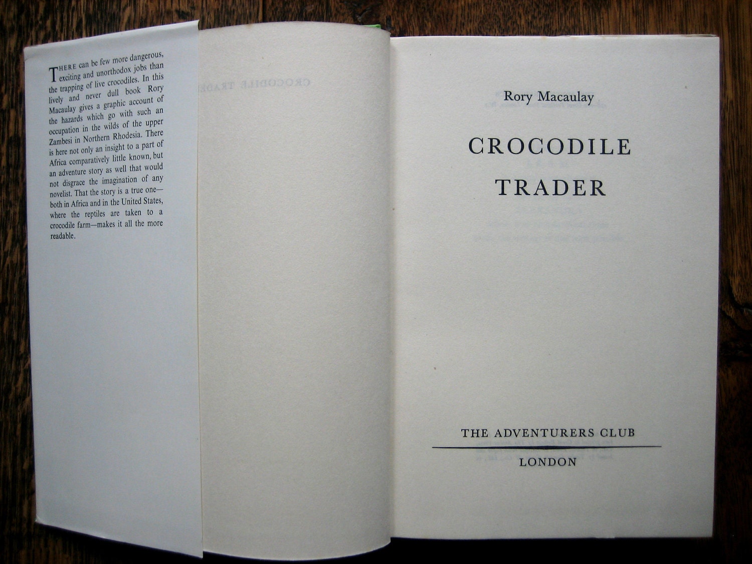 Crocodile Trader by Rory Macaulay - Etsy