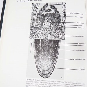 Vintage ANATOMY of SEED PLANTS - 2nd Edition - Katherine Esau - 1977 ...