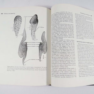 Vintage ANATOMY of SEED PLANTS - 2nd Edition - Katherine Esau - 1977 ...