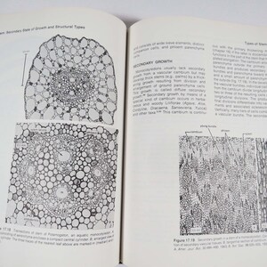Vintage ANATOMY of SEED PLANTS - 2nd Edition - Katherine Esau - 1977 ...