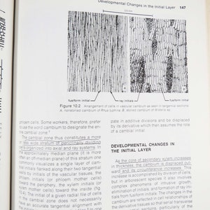 Vintage ANATOMY of SEED PLANTS - 2nd Edition - Katherine Esau - 1977 ...
