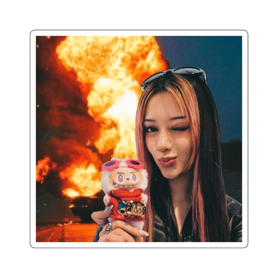 Katseye Megan Labubu Meme Vinyl Sticker: Laptop and Home Decor - Etsy