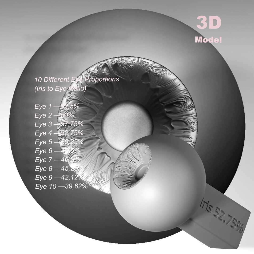 BJD Eye Proportion Guide – 10 Iris Size Ratios – Doll Eye Reference ...
