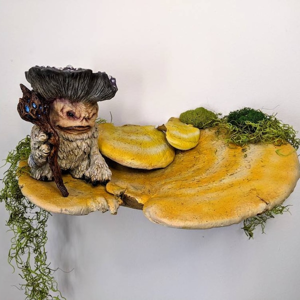 Shelf Mushroom Shelves - Etsy