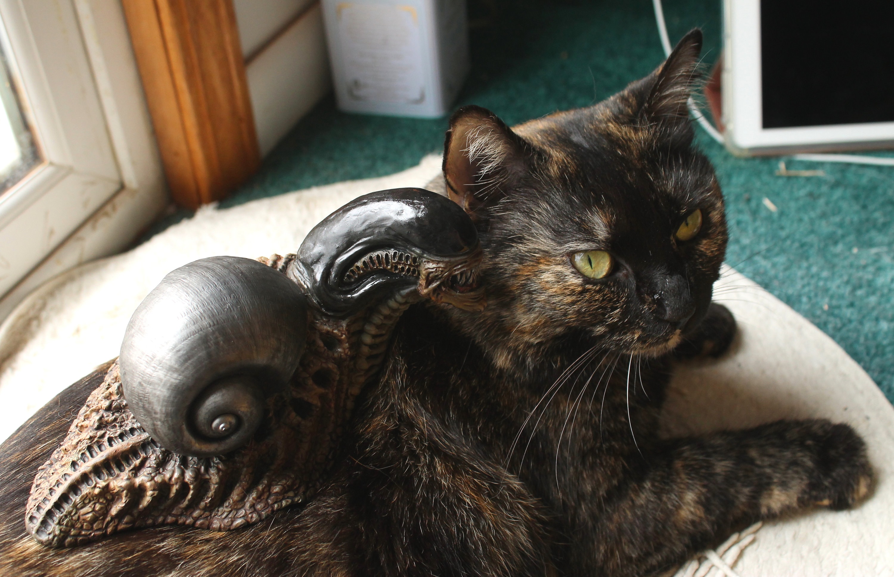 Sculpture Figurines Art & Collectibles Xenomorph Alien Snail Xeno ...