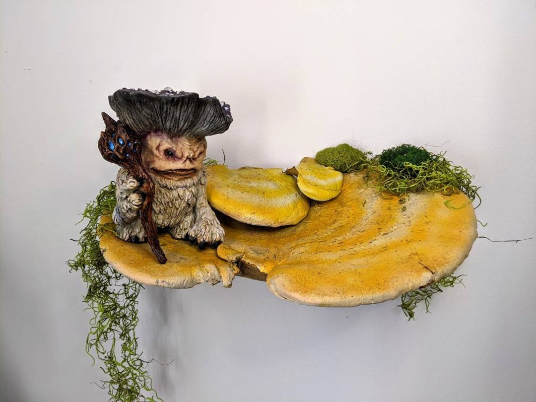 Shelf Fungus Mushroom Shelf Etsy