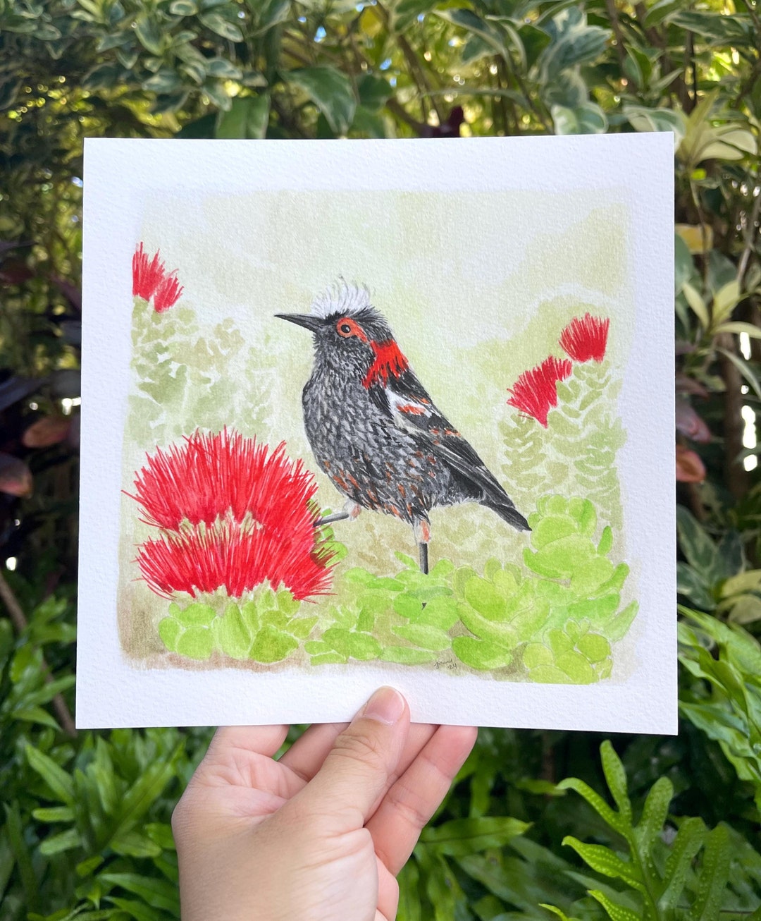 ʻĀkohekohe Lehua Print - Etsy