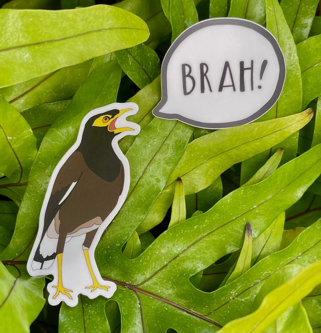 Myna Bird, MINI BRAH!, or Set (one of Each) - Local Kine Stickers - Etsy