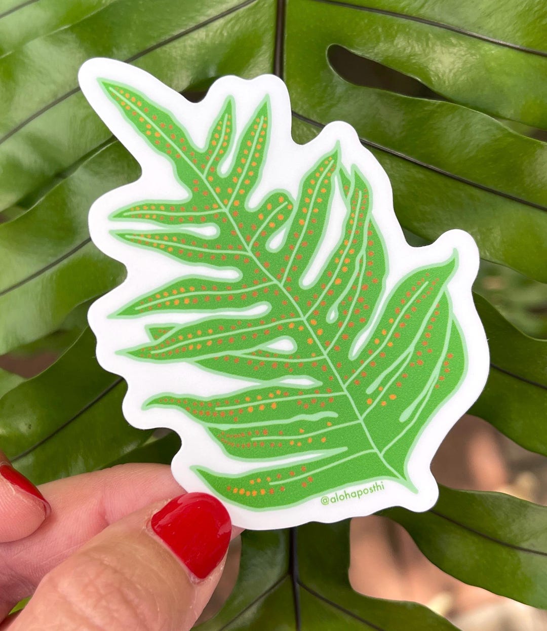 Laua'e Fern (microsorum Spectrum) - Local Kine Stickers - Etsy