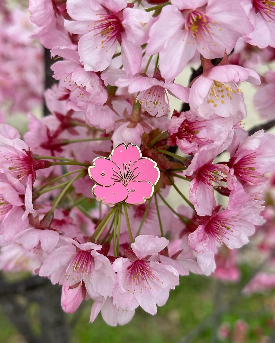Sakura (opaque Pink OR Pink Glitter) - Hard Enamel Pin - Lapel Pin - Etsy