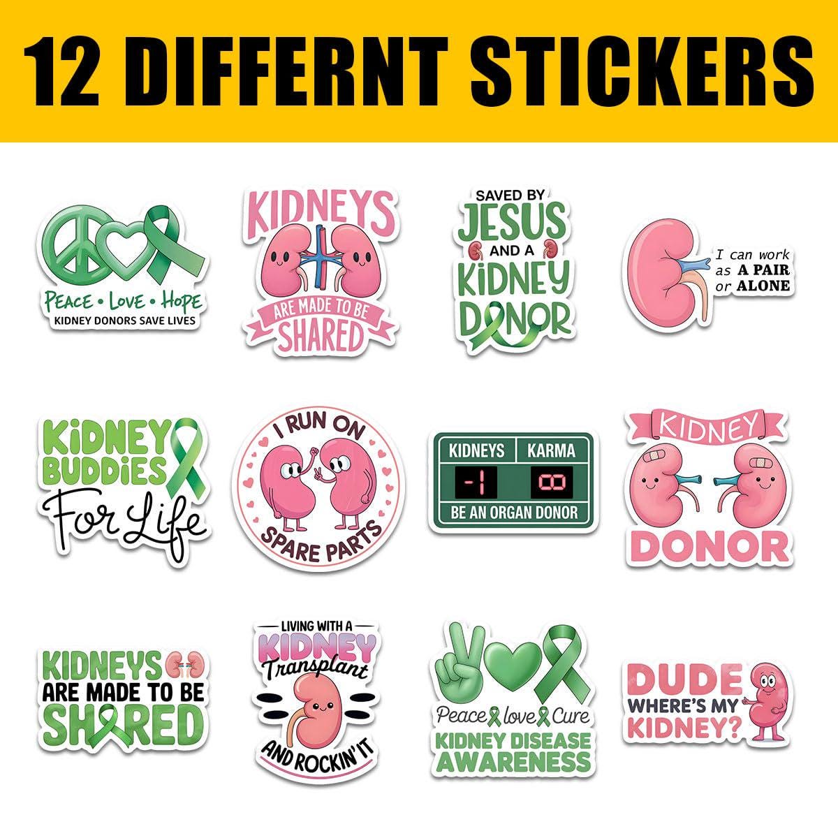 12 PCS Kidney Donor Sticker Pack – Kidney Disease Awareness, Kidney ...
