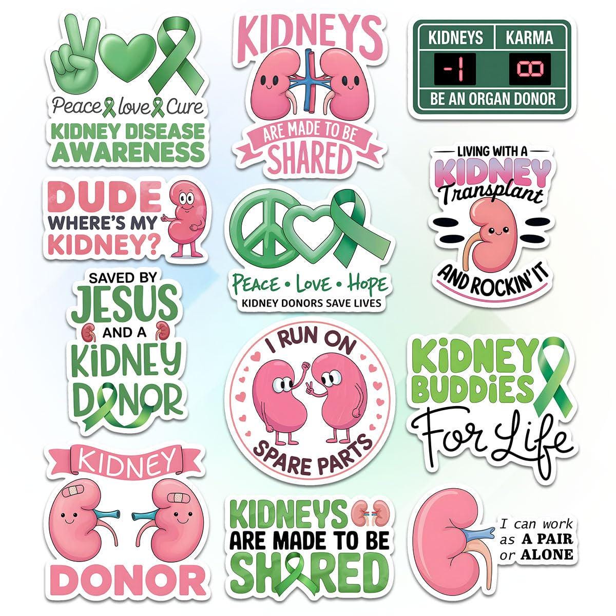 12 PCS Kidney Donor Sticker Pack – Kidney Disease Awareness, Kidney ...