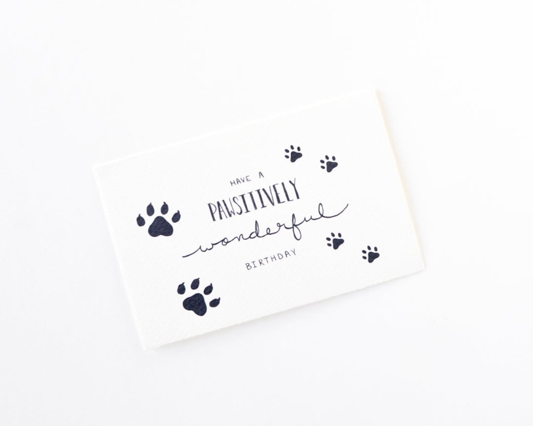 Cute Birthday Card - Pawsitively Wonderful Birthday - Etsy