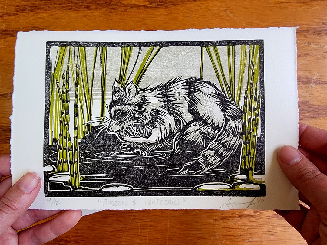 Racoon & Horsetail Reeds - Linocut Print - Limited Edition - Animal Art ...