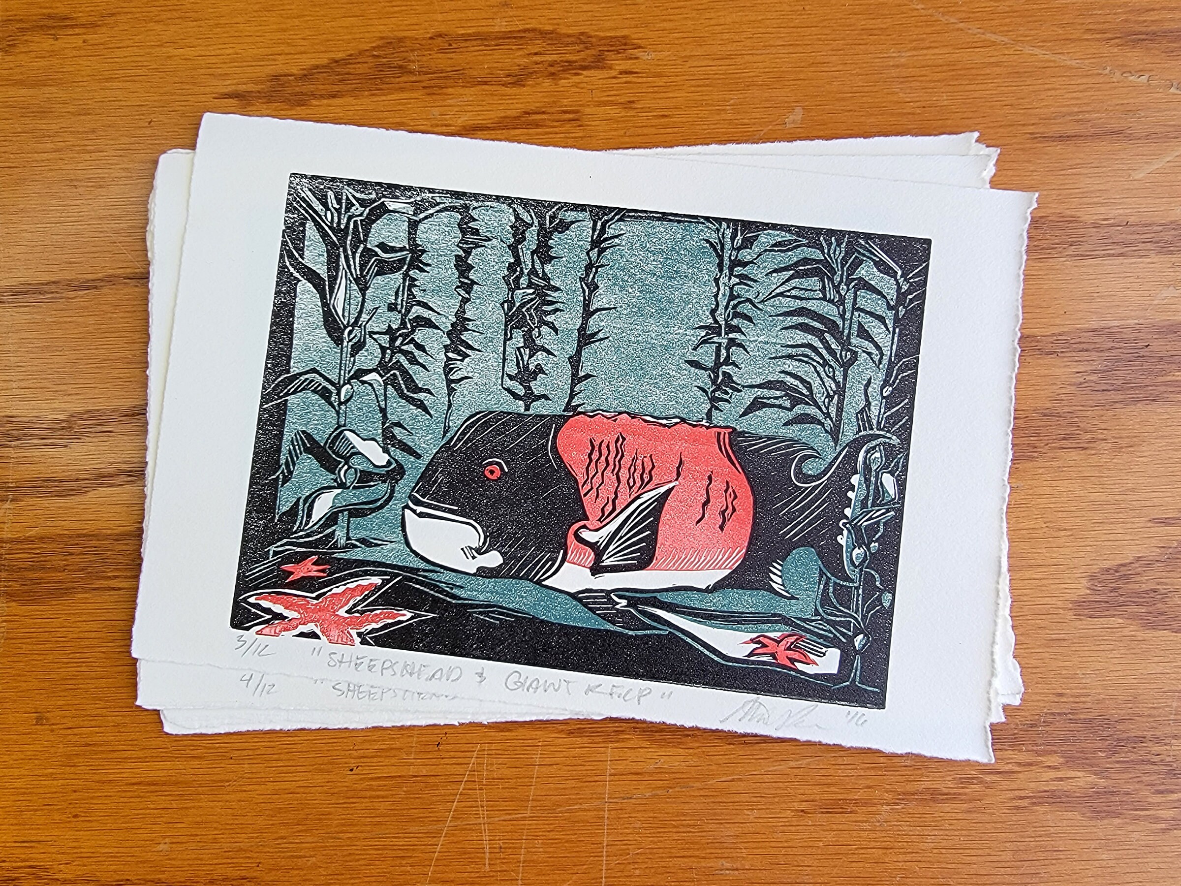 Sheepshead & Giant Kelp - Linocut Print - Limited Edition - Coastal Art ...