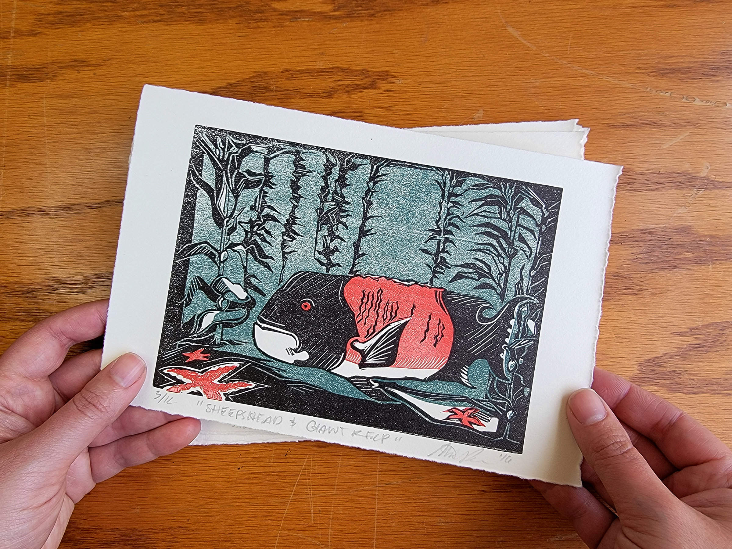 Sheepshead & Giant Kelp - Linocut Print - Limited Edition - Coastal Art ...