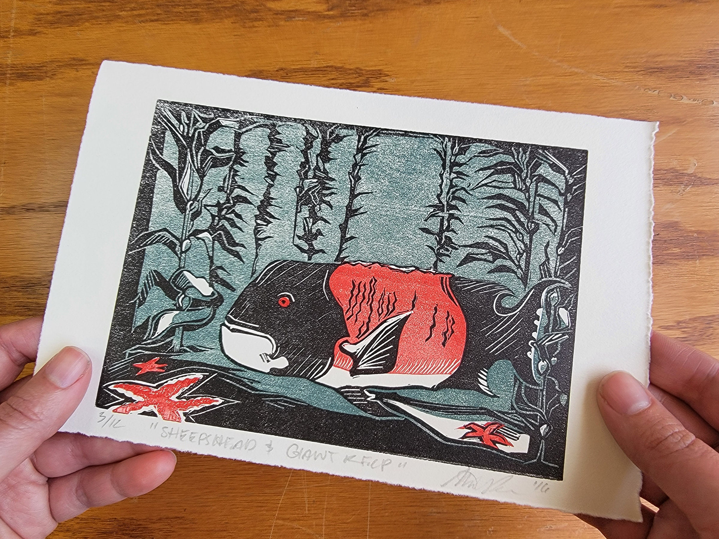 Sheepshead & Giant Kelp - Linocut Print - Limited Edition - Coastal Art ...