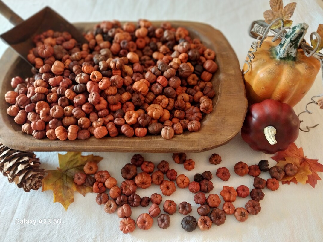 Putka Pods 8 Cups Fall Autumn Colors Fall Decor Mini Pumpkins - Etsy