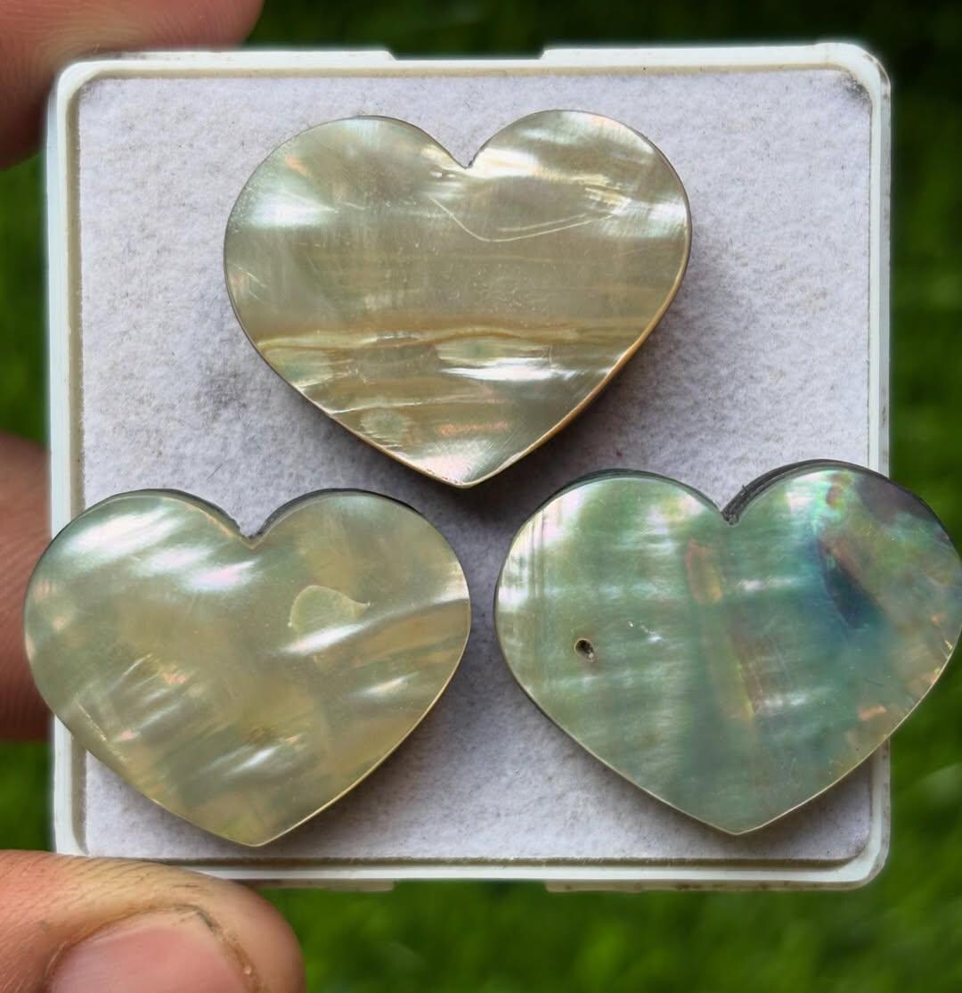 Natural Abalone Shell Heart Shape Cabochons Flat Back 21-21mm 3 Pieces ...
