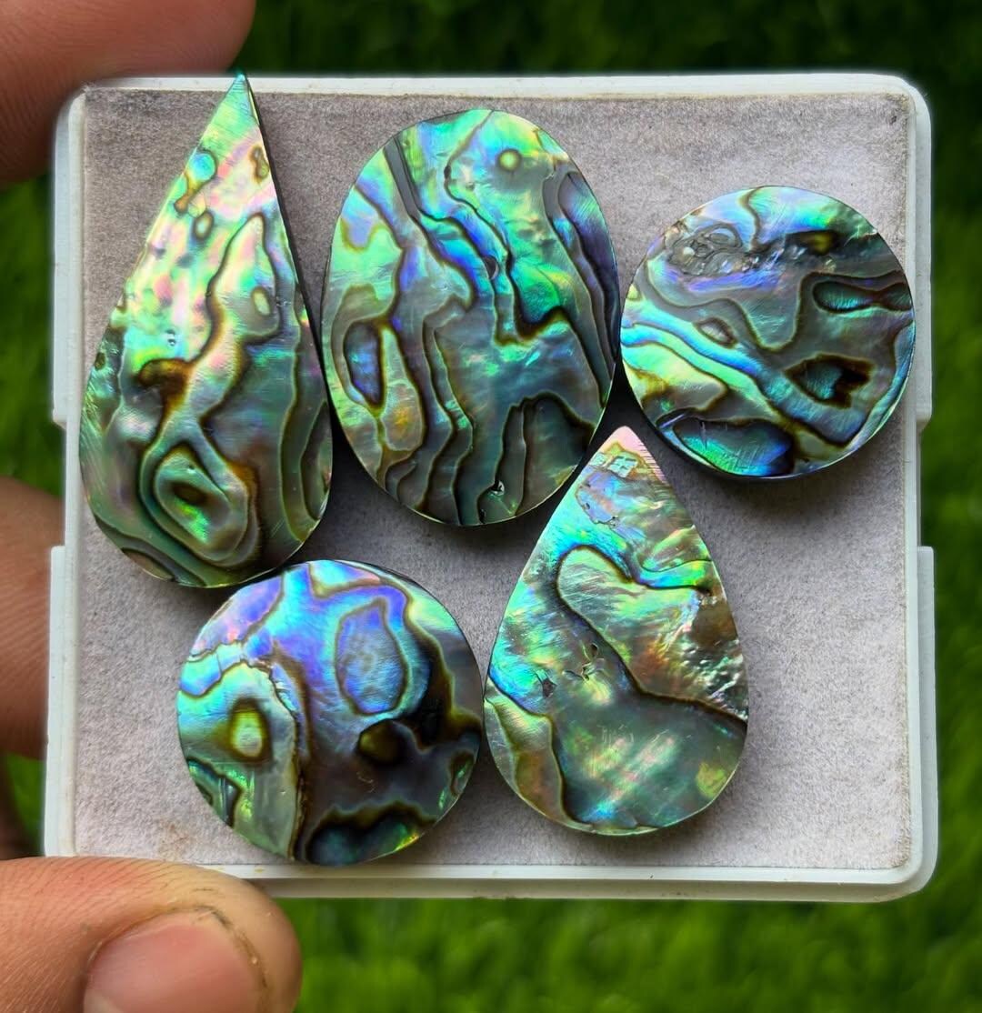 Natural Abalone Shell Mix Shape Cabochons Flat Back 20-36mm 5 Pieces - Etsy
